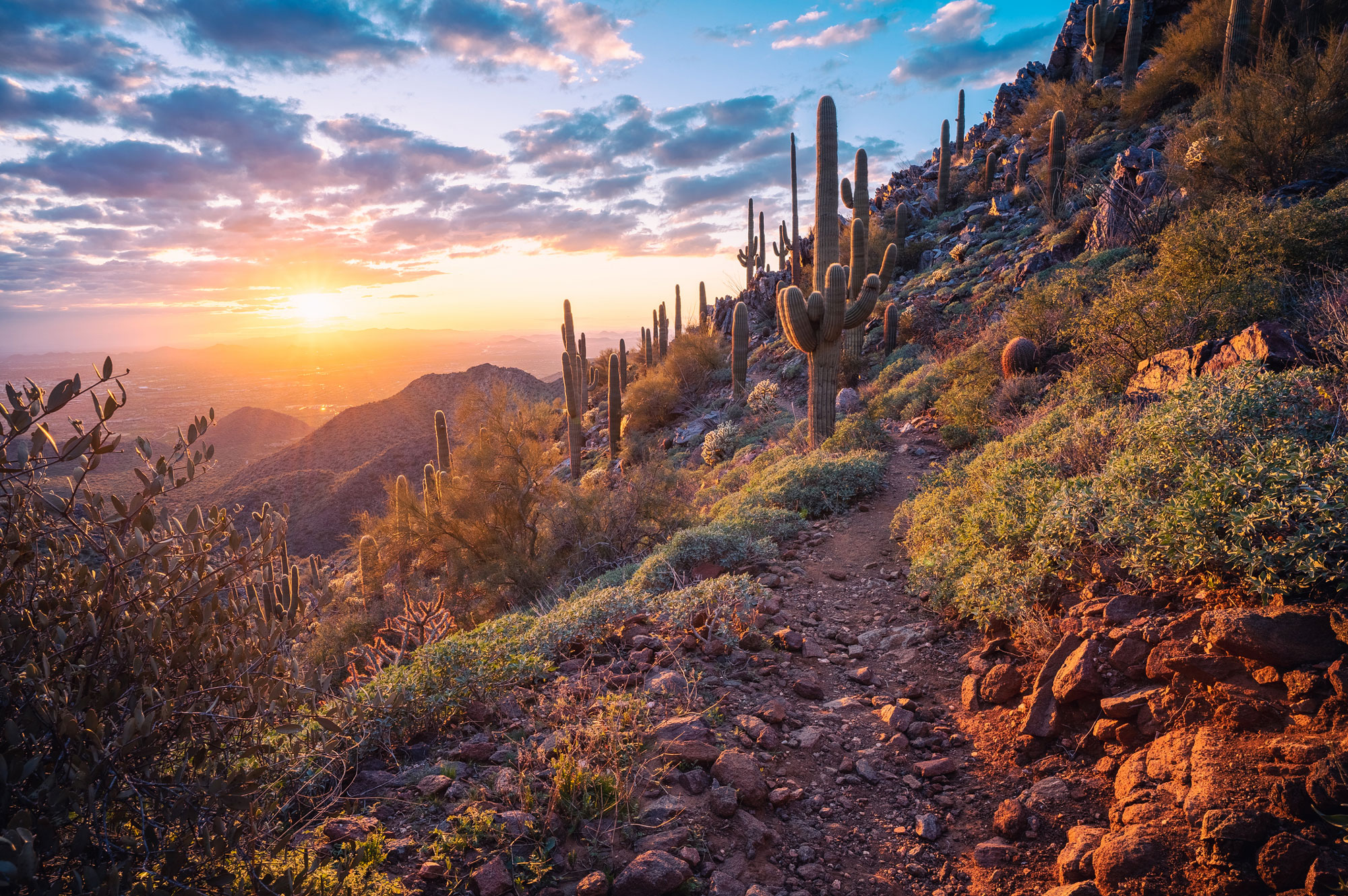 Multicarrier Conference - ConnectureDRX